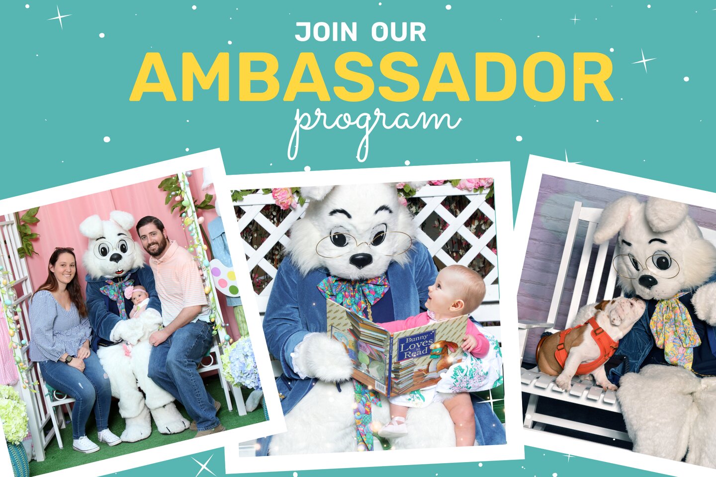 Ambassadors || Where Is Bunny?